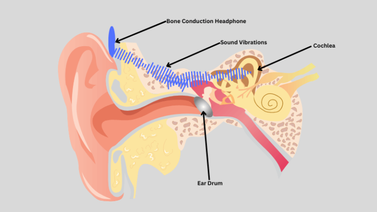 6 Types of Headphone Drivers Explained & How They Work